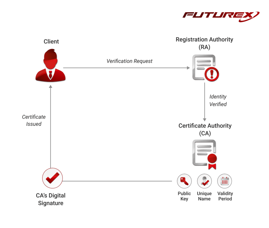 What Is PKI? Digital Trust Through Public Key Infrastructure